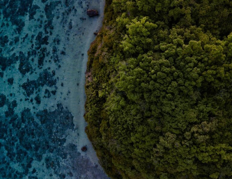 G3 Conservation Corps alum helps grow native ifit trees at CIS - Guam ...