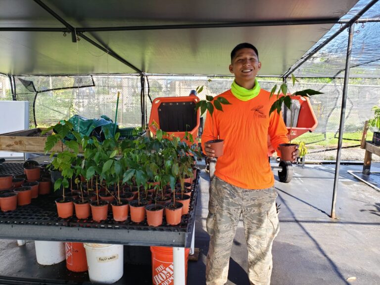 G3 Conservation Corps alum helps grow native ifit trees at CIS - Guam ...