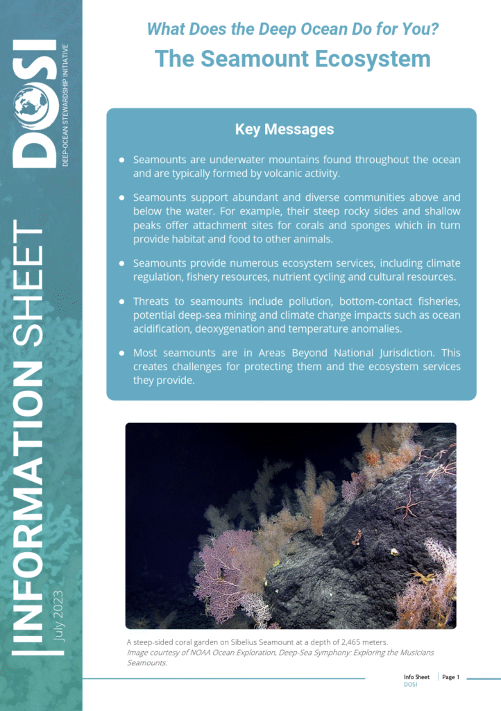 Deep Sea Mining - Guam Green Growth